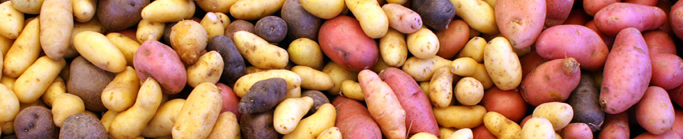 Weekly Recipes at Tops Markets
